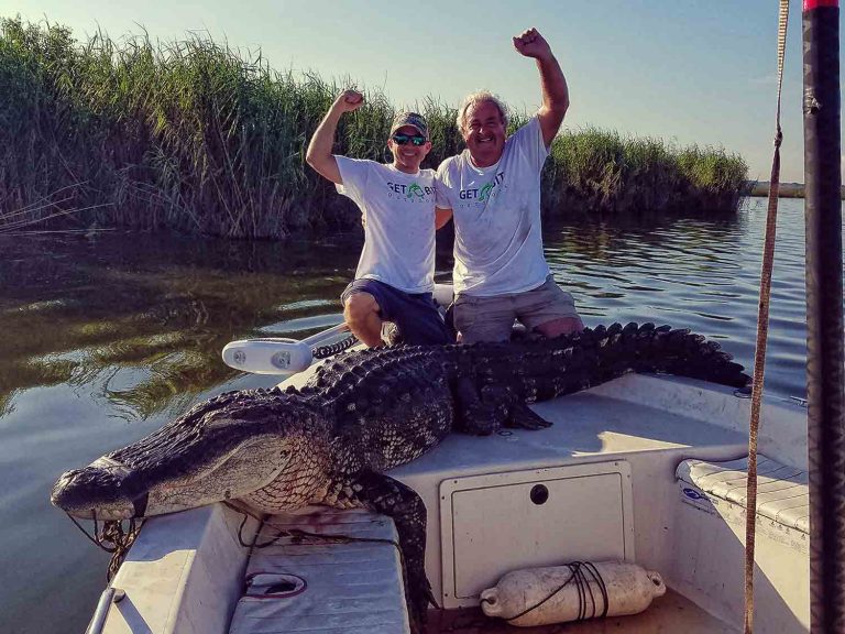 Gator Hunts - Trophy Florida Gator Hunting By Get Bit Outdoors