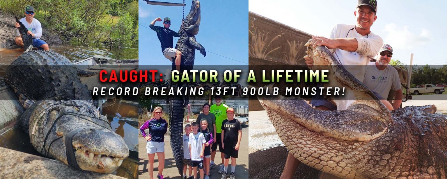 Home - Trophy Florida Gator Hunting By Get Bit Outdoors